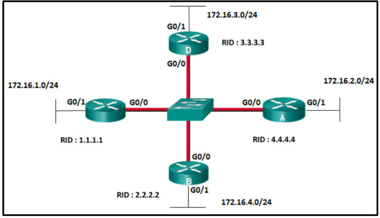 Modules 1 - 2: Concepts et examen de configuration de l'OSPF Réponses