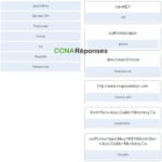 Modules 13 - 14: Examen des technologies de réseau émergentes Réponses