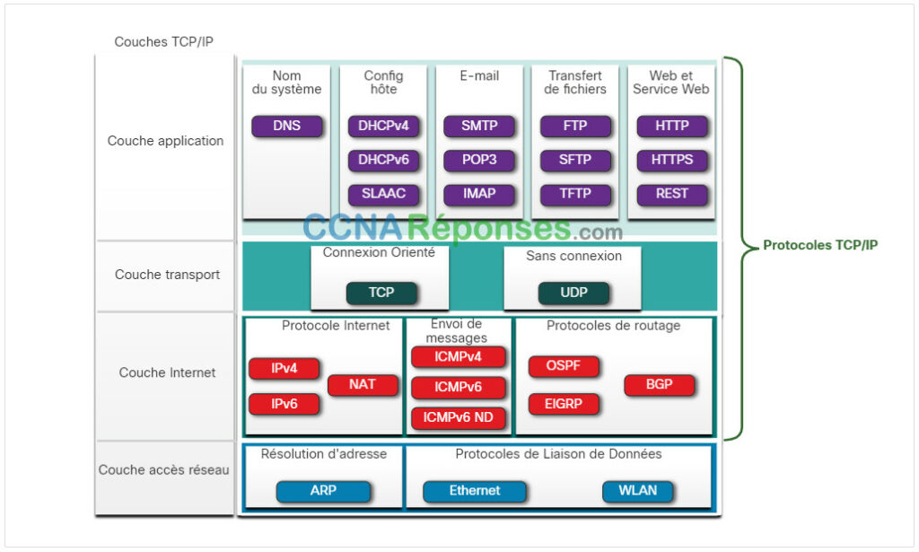 Introduction aux Réseaux - Modules 3 : Modèles et protocoles