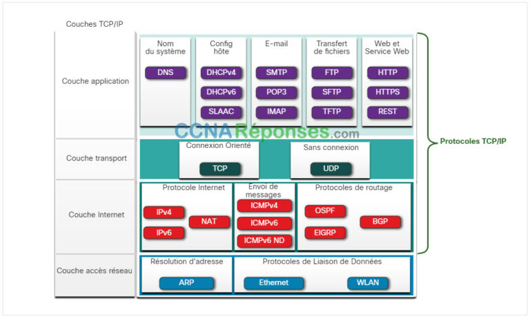 Introduction aux Réseaux - Modules 3 : Modèles et protocoles
