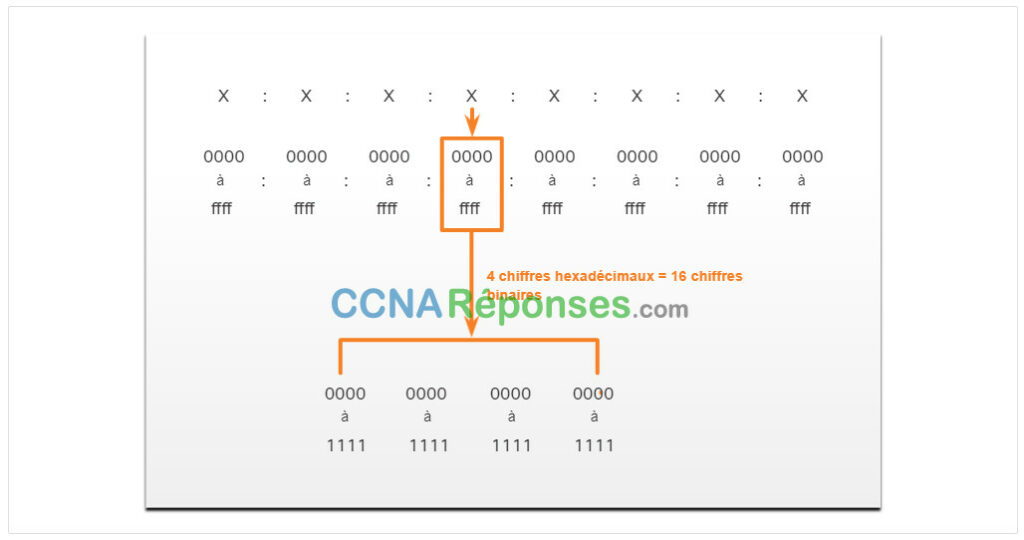 Introduction aux Réseaux - Modules 5 : Systèmes numériques