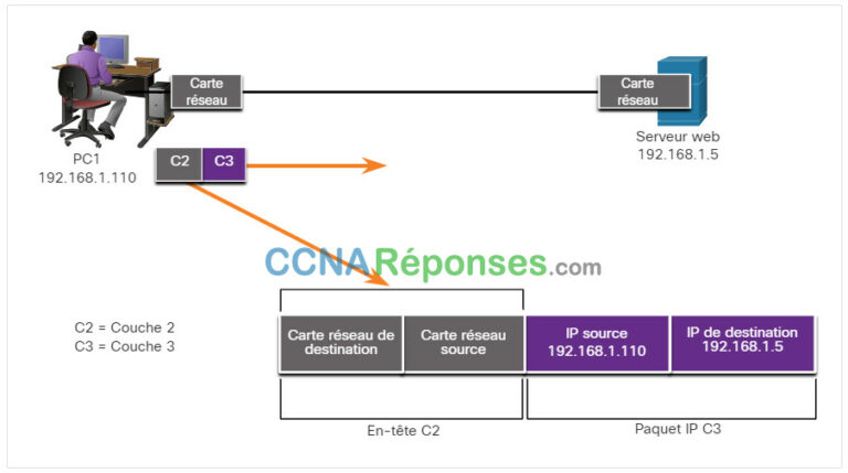 Introduction aux Réseaux - Modules 6 : Couche de liaison de données