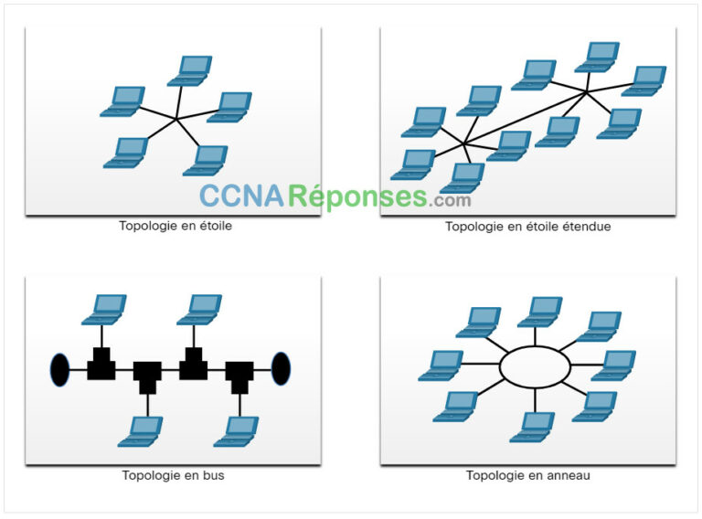 Introduction aux Réseaux - Modules 6 : Couche de liaison de données