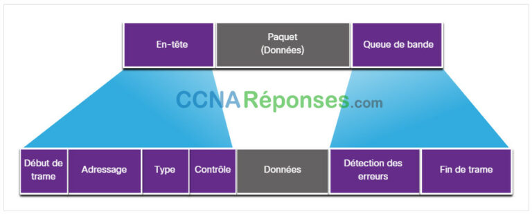 Introduction aux Réseaux - Modules 6 : Couche de liaison de données