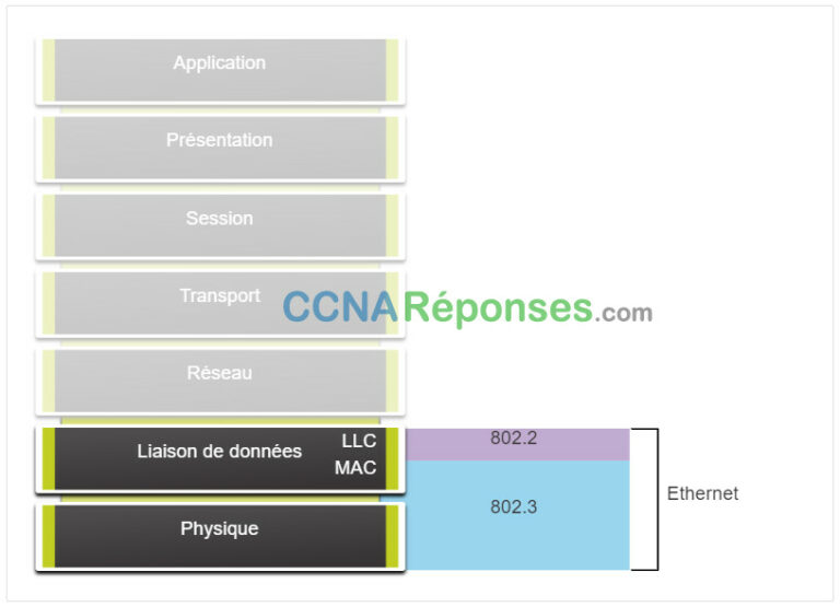 Introduction aux Réseaux - Modules 7 : Commutation Ethernet