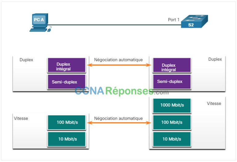 Introduction aux Réseaux - Modules 7 : Commutation Ethernet