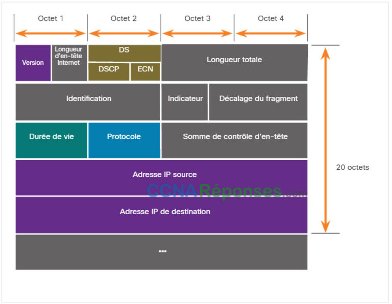 Introduction aux Réseaux – Modules 8 : Couche réseau – CCNA Réponses ...