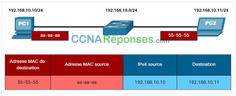 Introduction aux Réseaux - Modules 9 : Résolution d'adresse