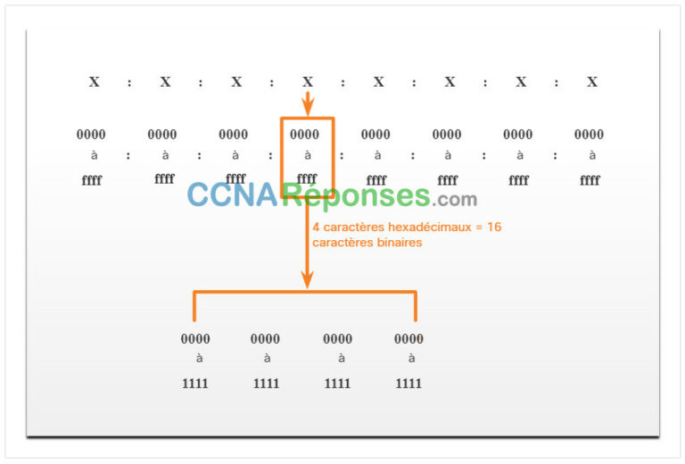 Introduction aux Réseaux - Modules 12 : Adressage IPv6