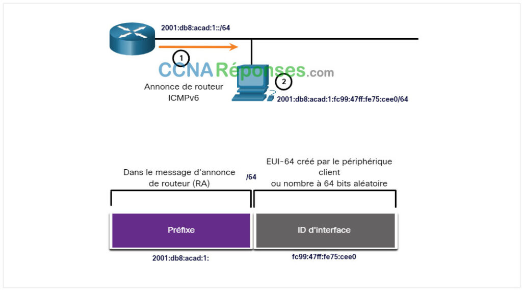 Introduction aux Réseaux - Modules 12 : Adressage IPv6