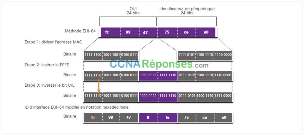 Introduction aux Réseaux - Modules 12 : Adressage IPv6