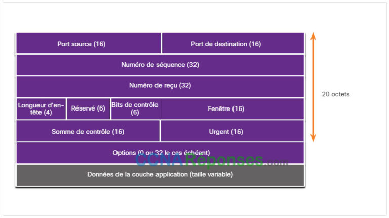 Introduction aux Réseaux - Modules 14 : Couche de transport
