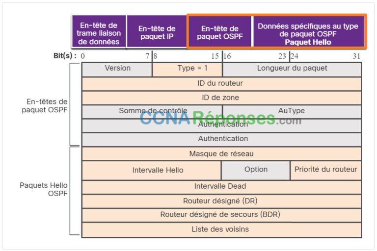 Réseau d’entreprise, sécurité et automatisation - Modules 1 : Concepts ...