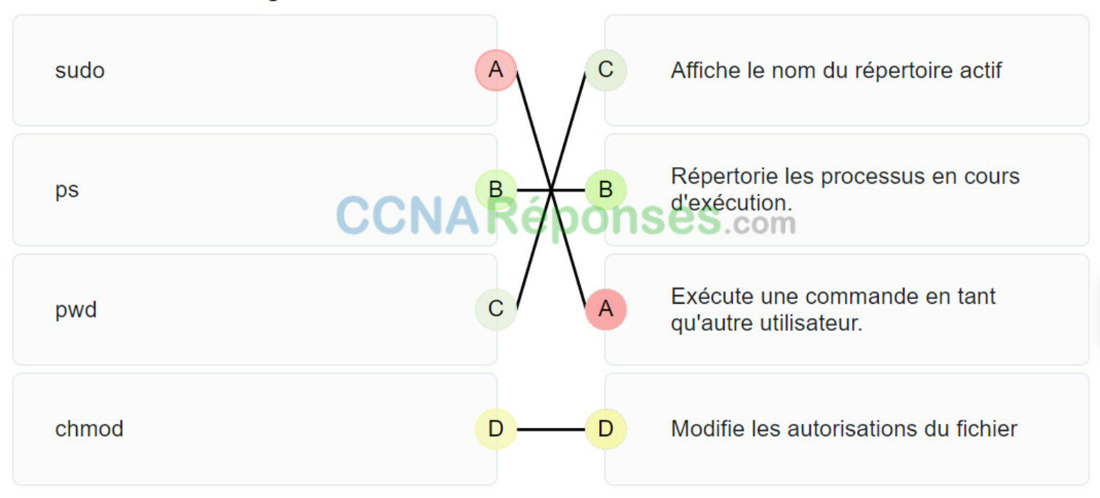 Examen Checkpoint: Examen du Groupe de Présentation du Système d'Exploitation