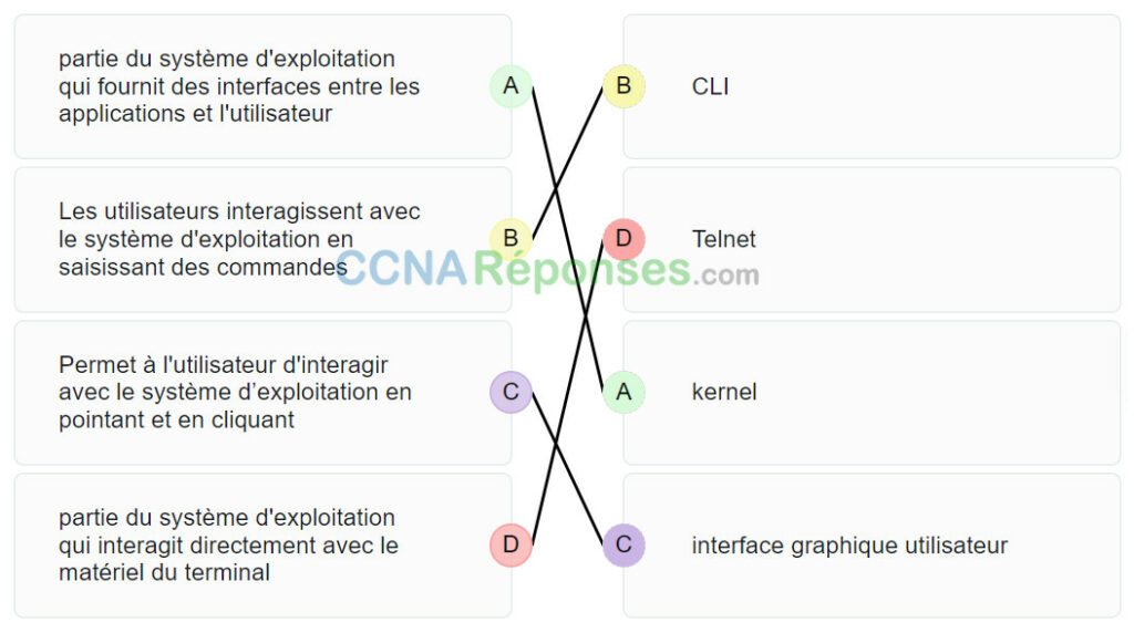 ITNv7 Practice Final Exam - Examen blanc final Réponses Français