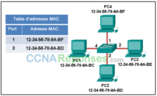 ITNv7 Practice Final Exam - Examen blanc final Réponses Français